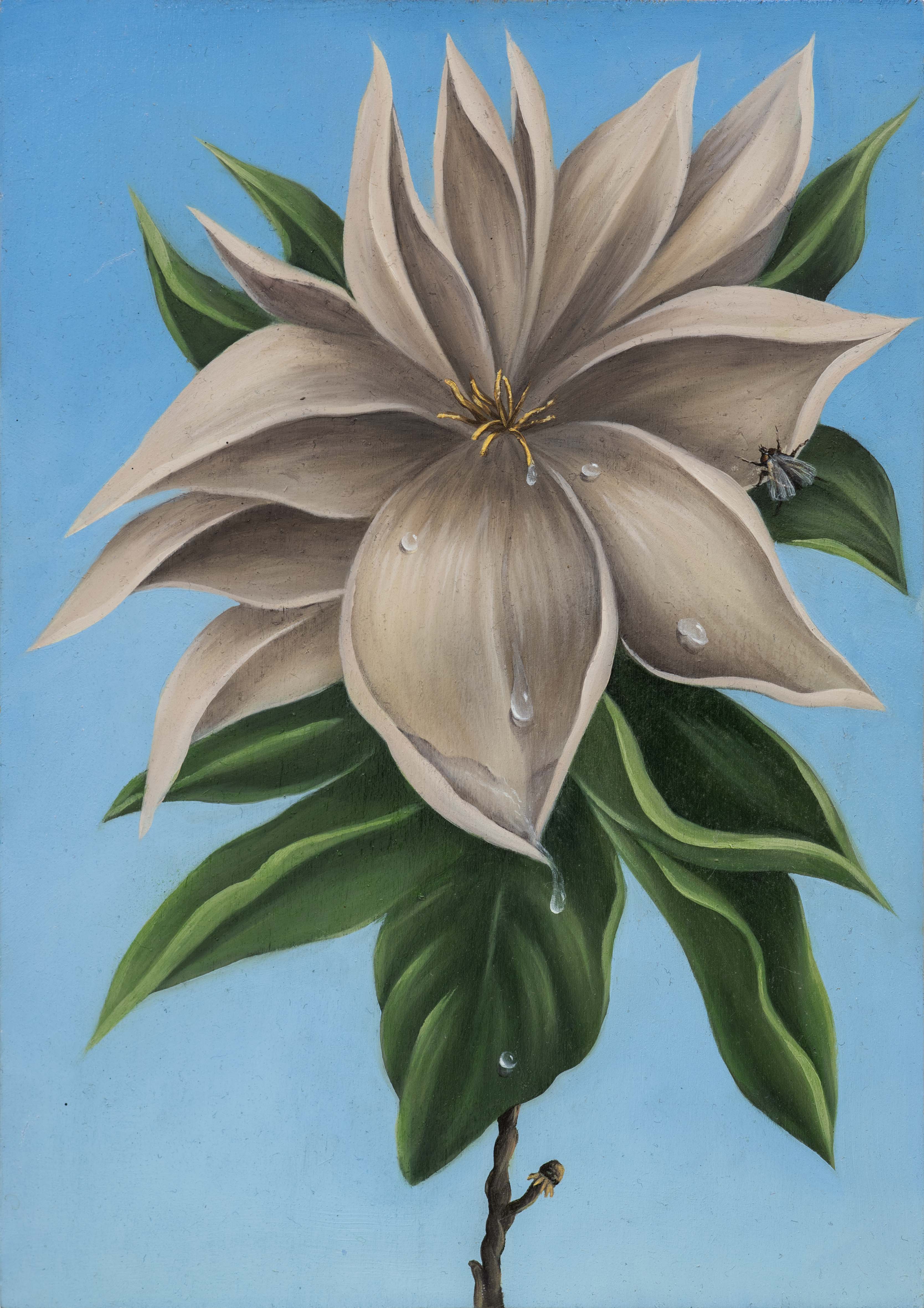 Natalia González Martín • Hannah Barry Gallery
